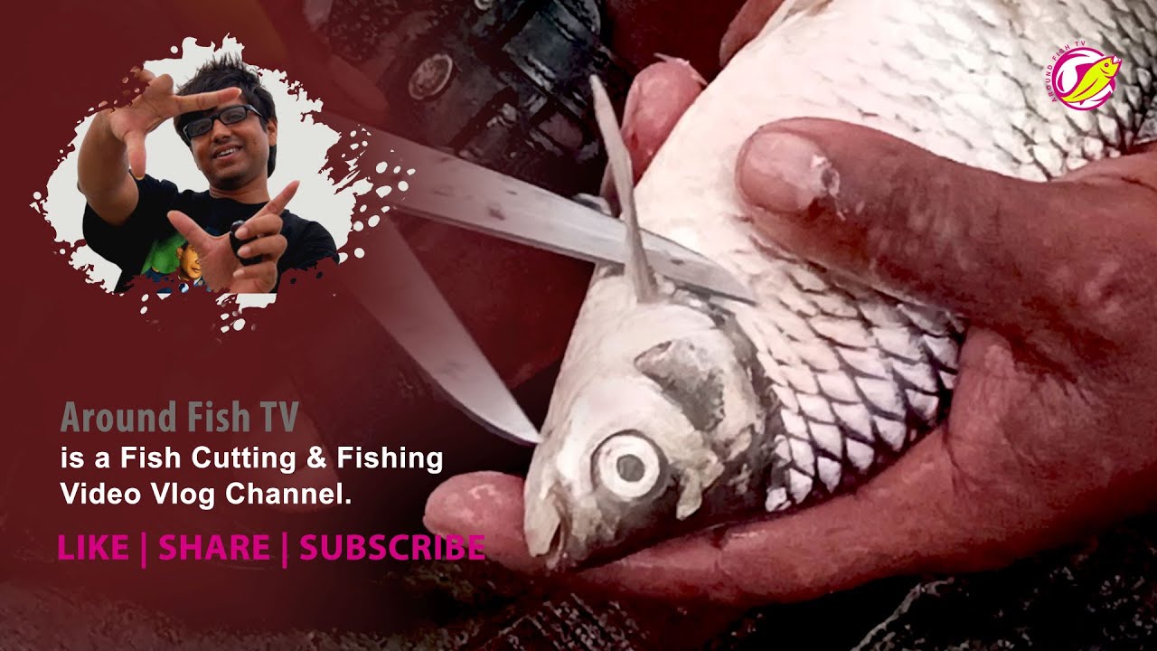 Putti Fish Cutting | Shorputi Fish Cutting in local Fish Market | Puti ...