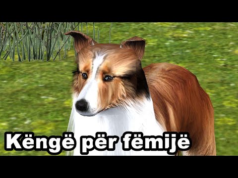 O sa mir o sa keq, Macja le te lahet, Hapa Dollapa, Tring Zilja, Moj Bubrrec, Ne Tropik, o Macok