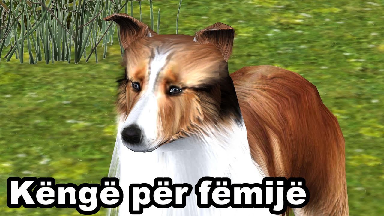 O sa mir o sa keq, Macja le te lahet, Hapa Dollapa, Tring Zilja, Moj ...