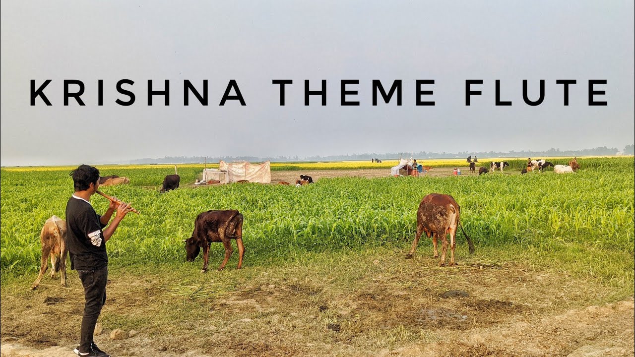 Krishna theme flute cover by Shadhin - YouTube