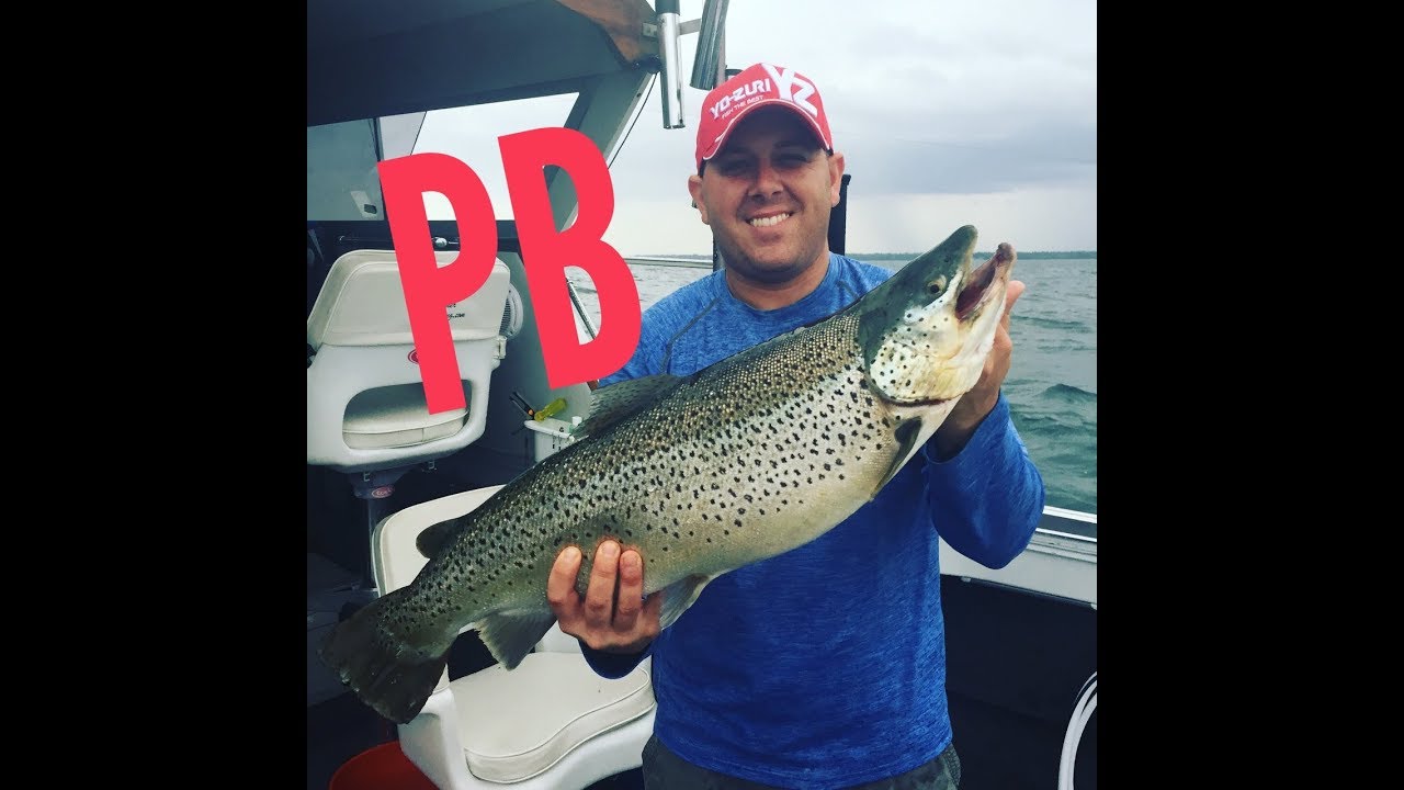 Monroe County Offshore Classic, Salmon & Trout Big Fish Friday SHOOT ...