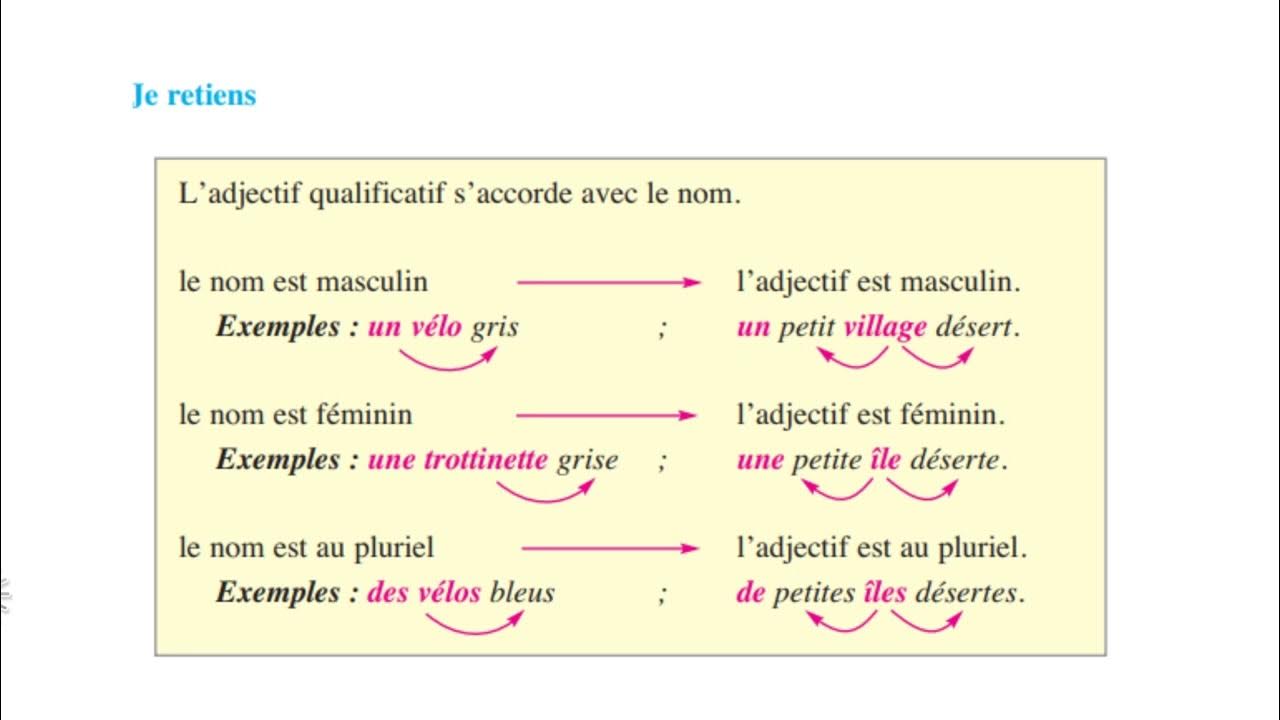 j'apprends à accorder l'adjectif qualificatif avec le nom (خامسة أساسي ...