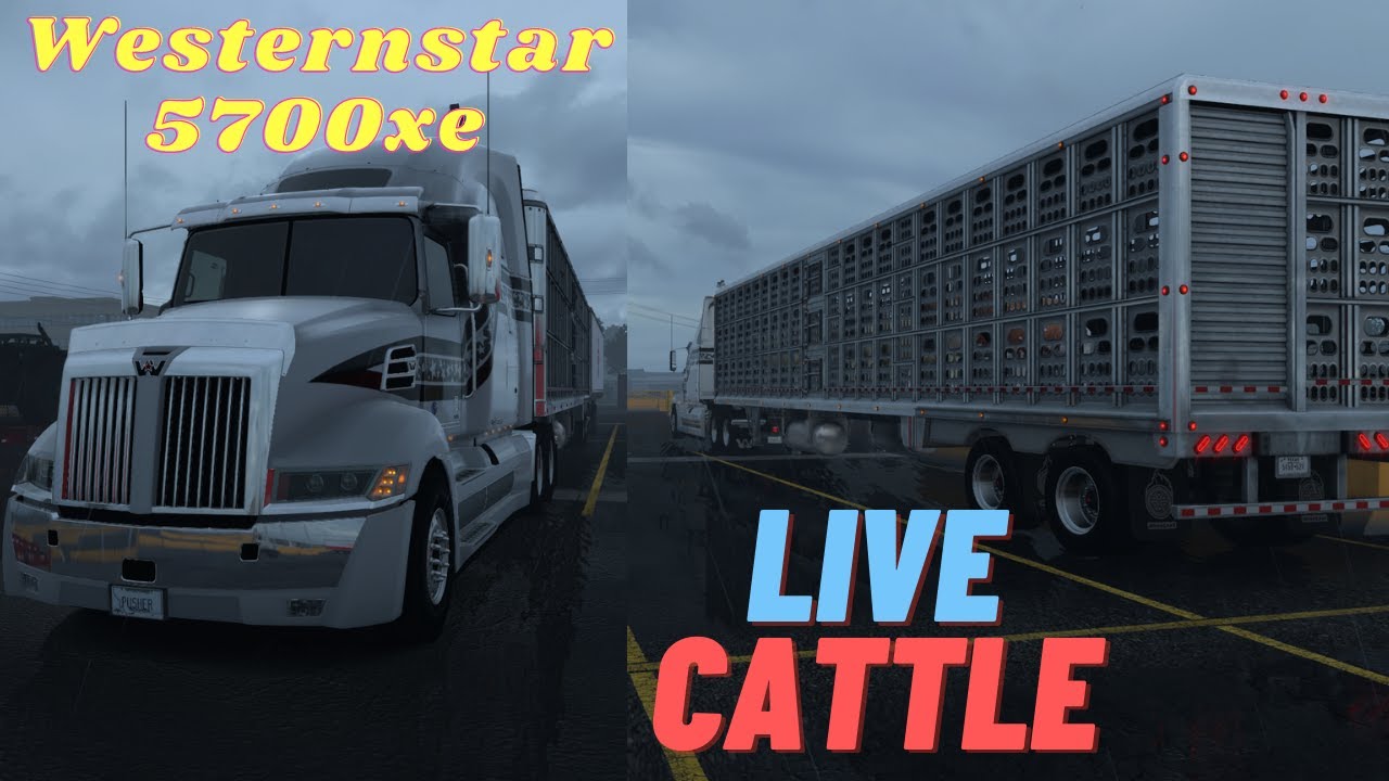 American Truck Simulator - Live Cattle Delivery / TEXAS - YouTube