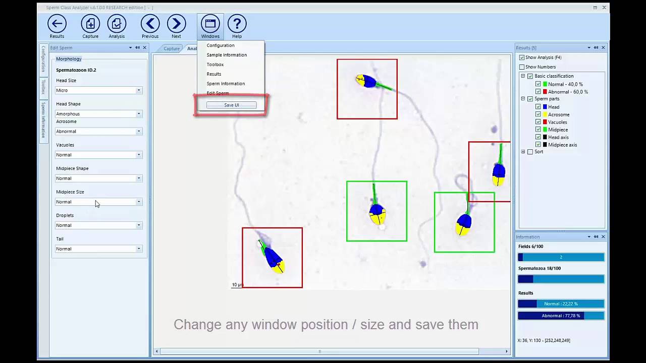 SCA Tutorial - Windows customization - YouTube