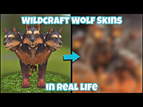 Wildcraft: Wildcraft Wolf Skins In Real Life! + Mystics & Wildclub ...