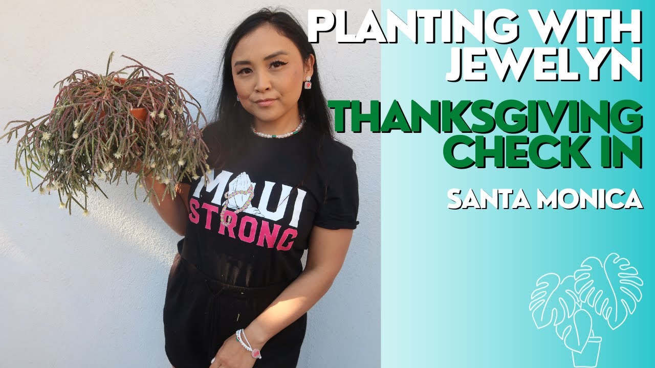 Planting with Jewelyn Thanksgiving edition: Life update, blooming ...