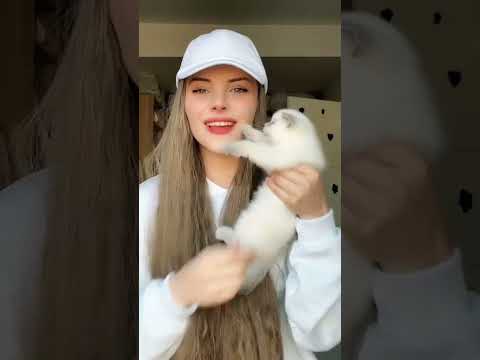 ASLI GÜLER KEDİSİNİ SIKIYOR / ASLI GÜLER KEDİ VİDEOSU