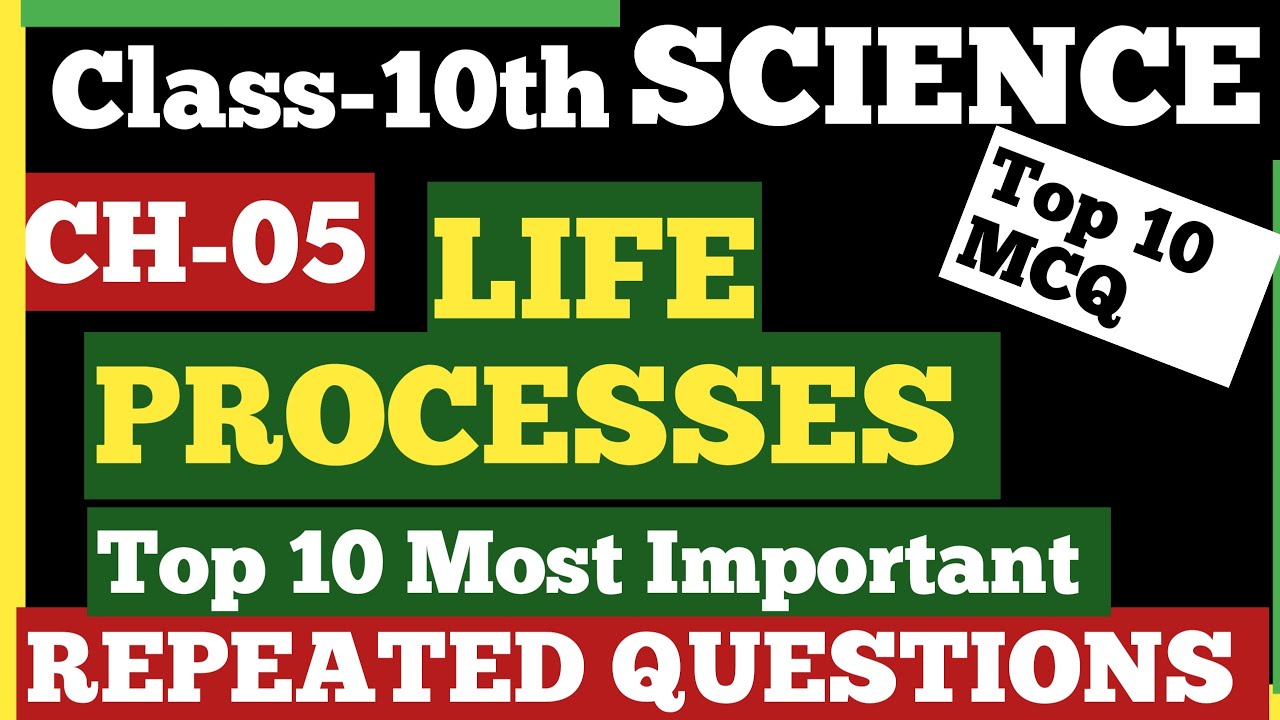 Class 10 Science chapter 5 Life Processes MCQ most important questions ...