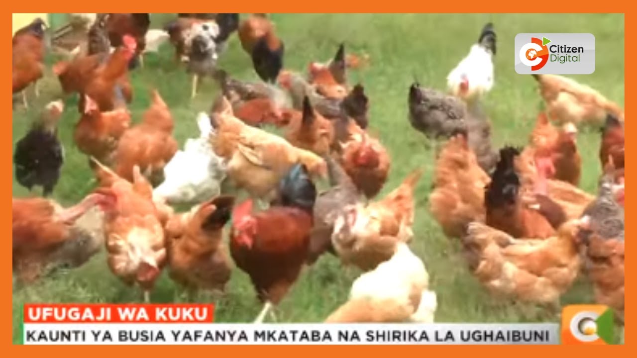 Kaunti ya Busia yafanya mkataba na shirika la ughaibuni - YouTube