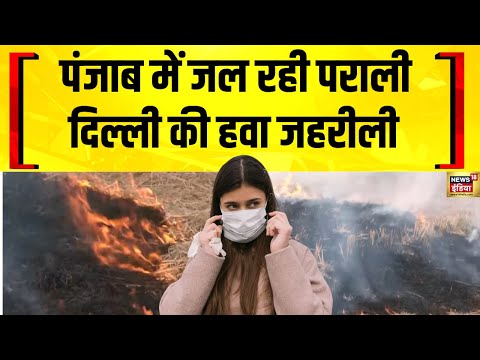 Punjab में Parali जलाने के मामले तेजी से बढ़े | Delhi Pollution | Stubble Burning | Delhi AQI News