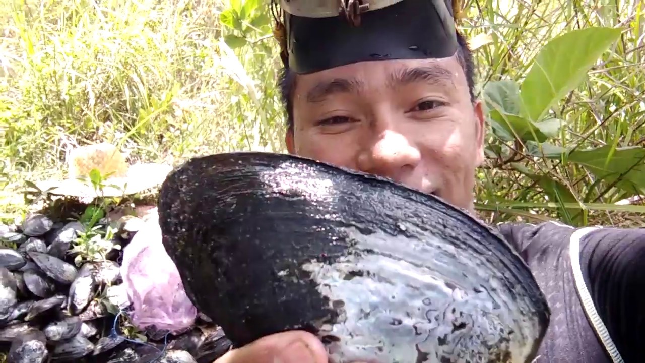 SULEB | KABIBI | TAIWAN SHELL - YouTube