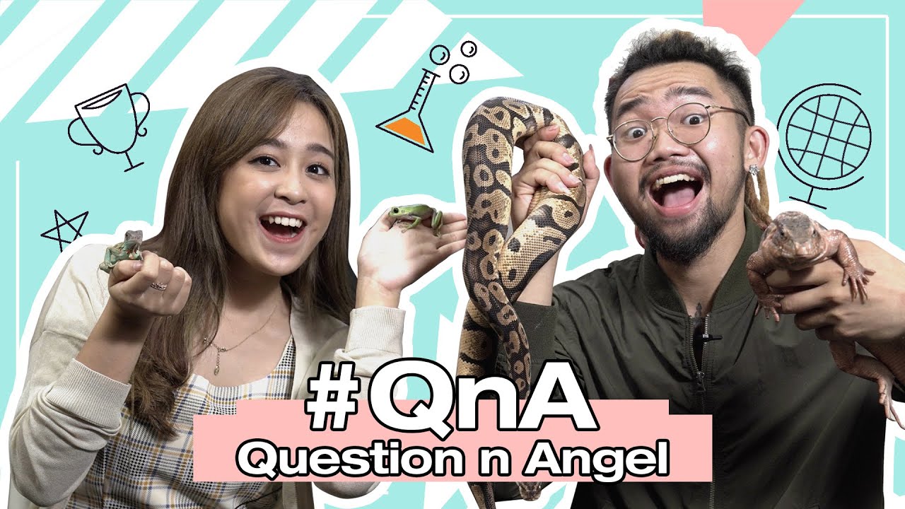 COVID-19 MENULAR LEWAT REPTIL? #Question&Angel - YouTube