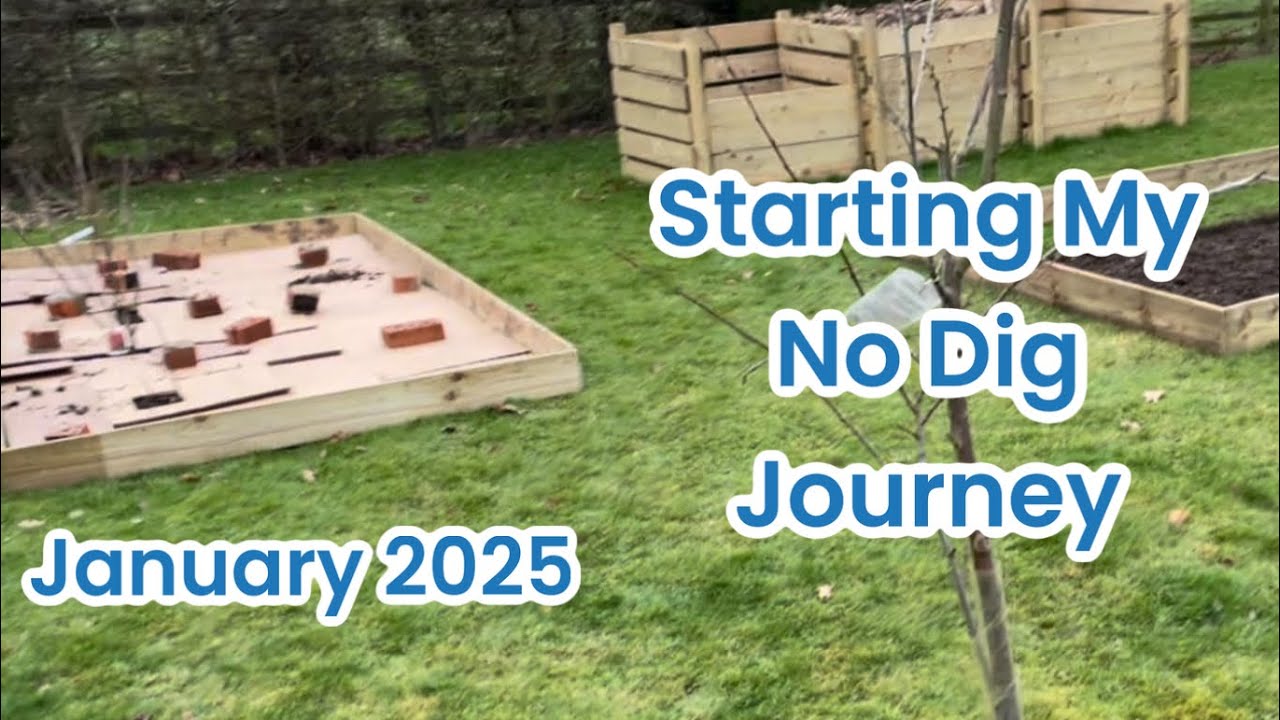 Starting My No Dig Journey, But First Lots Of Digging. UK Gardening ...