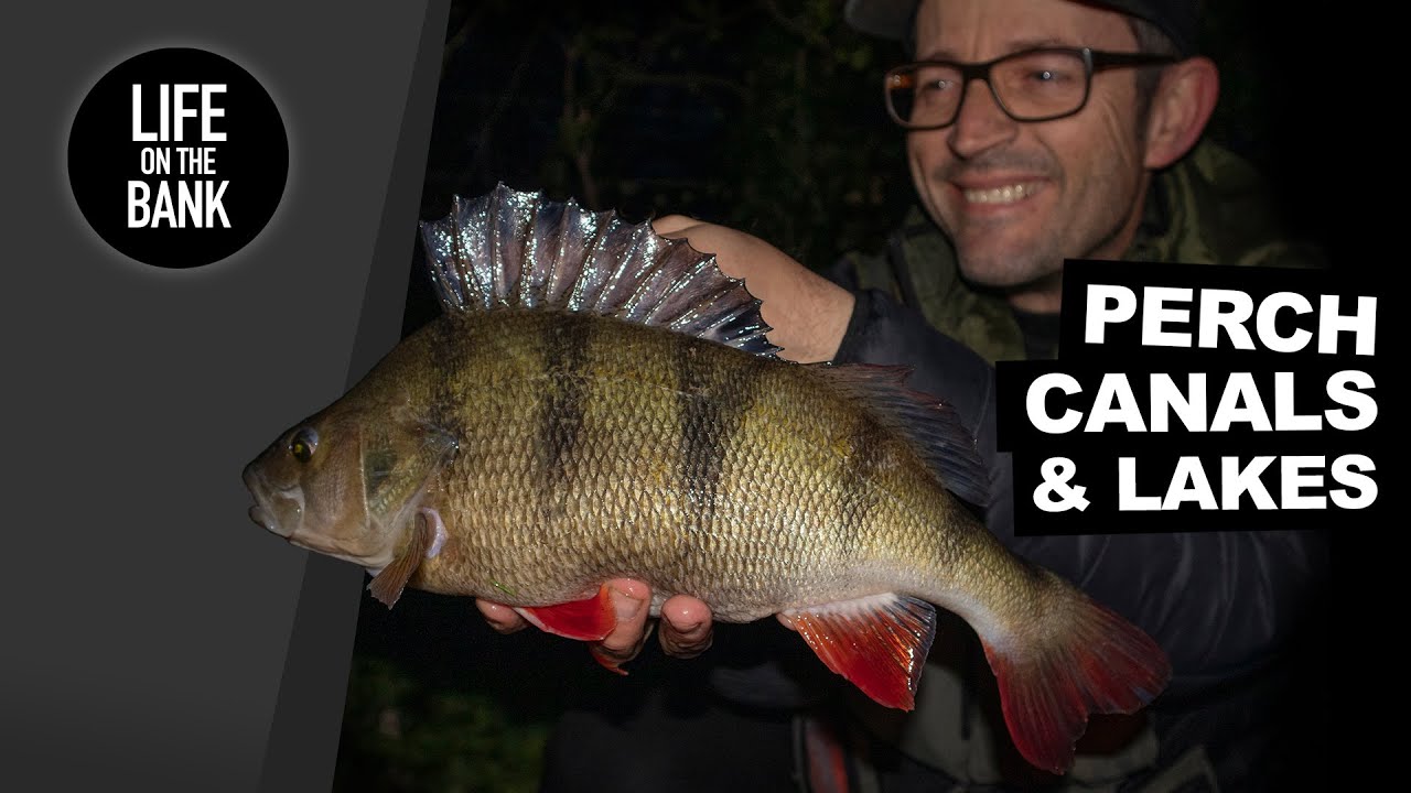 PERCH FISHING on Canals and Lakes - YouTube