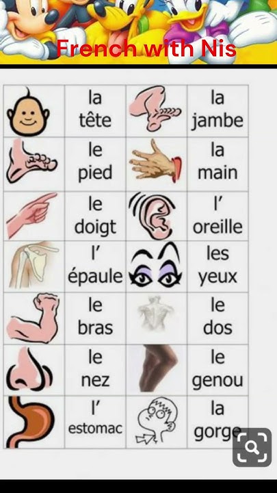"Learn French: Body Parts Vocabulary for Beginners""Master French Body ...