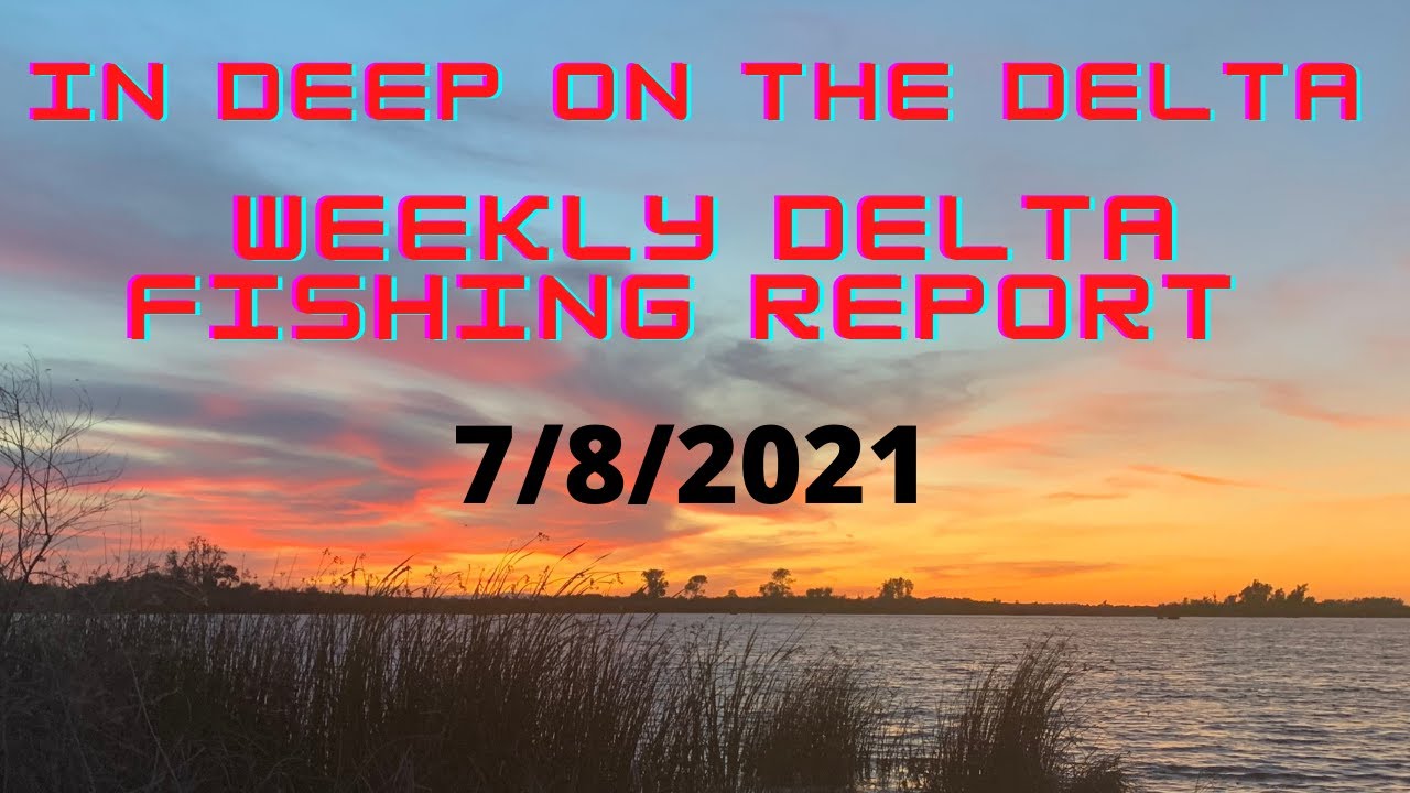 In Deep on the Delta Weekly Delta Fishing Report for 7/8/2021 - YouTube