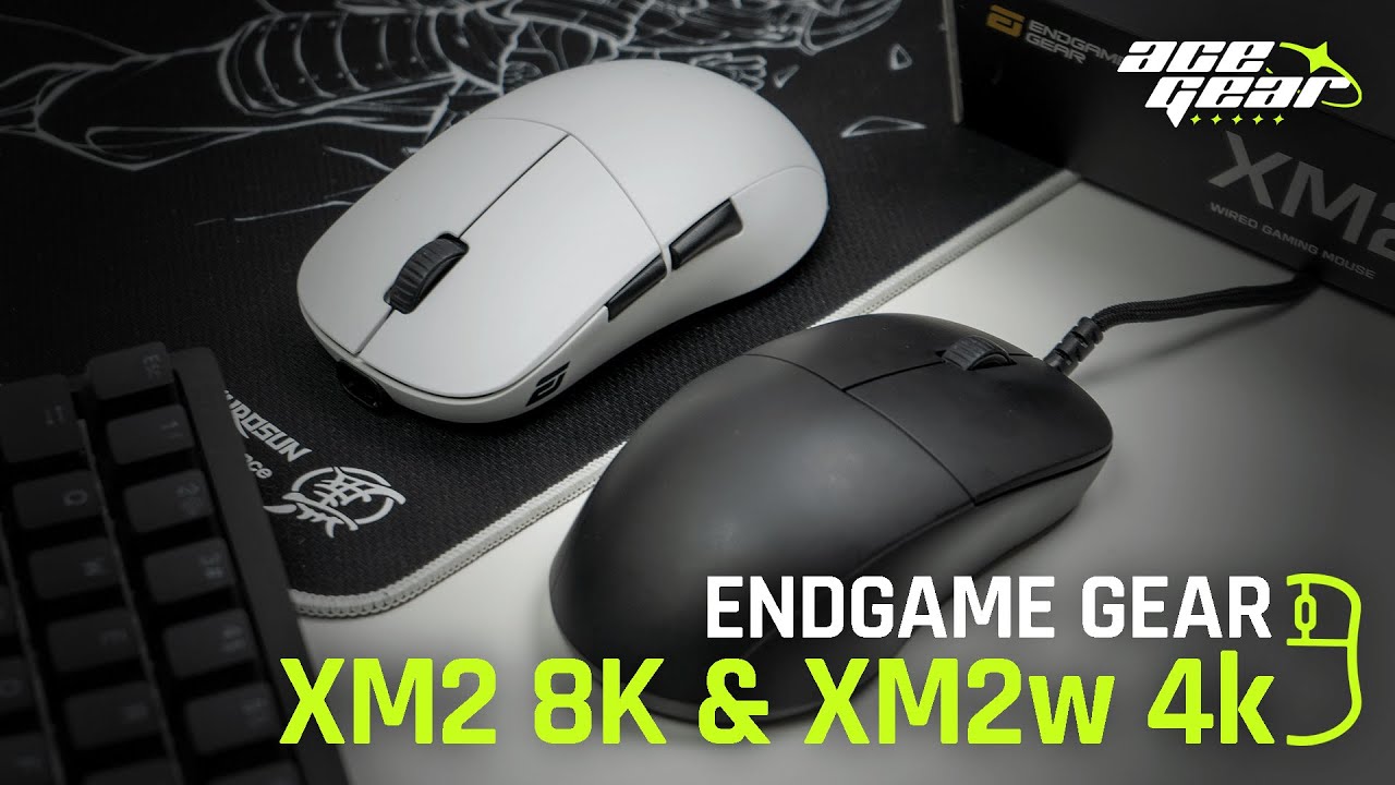 KOLEJNY GIGANT PERFORMANCE'U OD ENDGAME GEAR | XM2 8K & XM2w 4K - YouTube