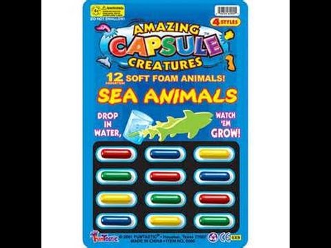 Amazing capsule sea creatures - YouTube