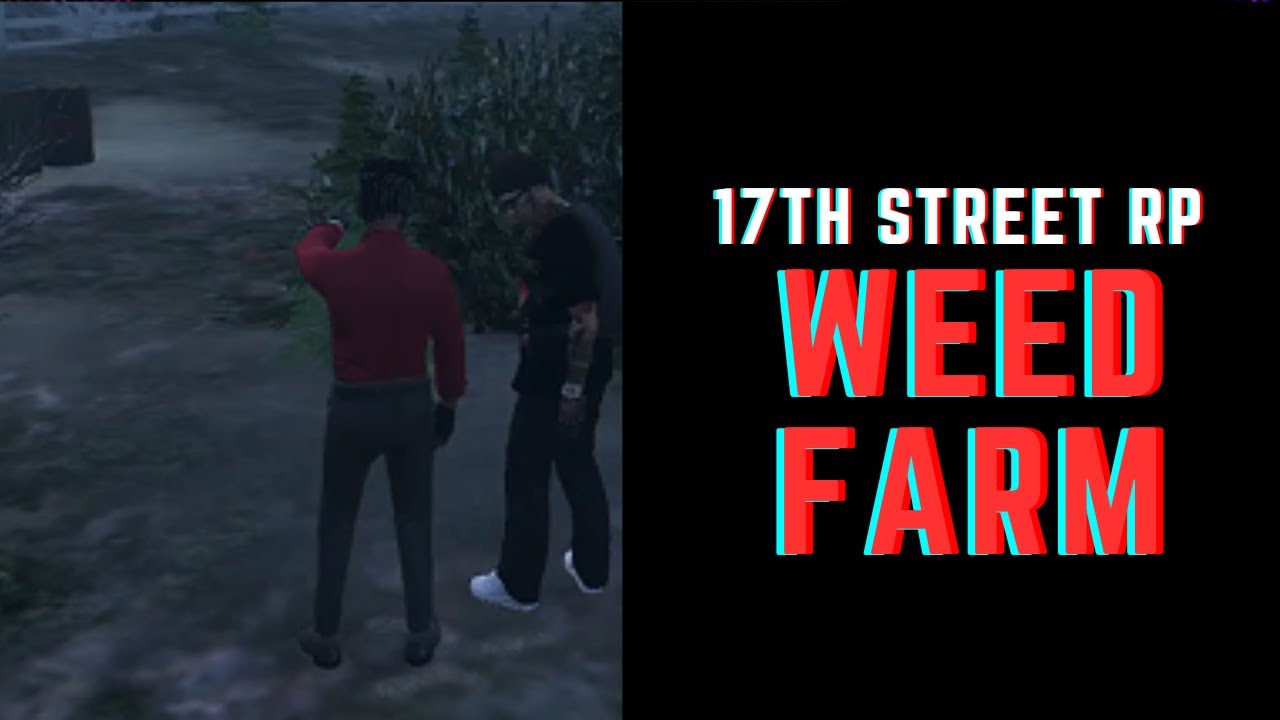 Justice Hires a Farmer!! | 17th Street RP Server | GTA V RP - YouTube