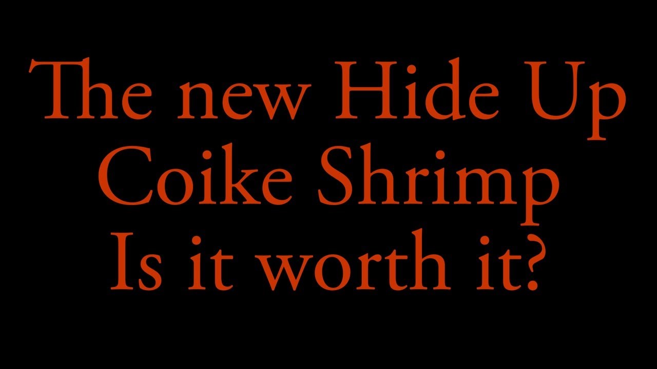 The New Hide Up Coike Is it worth it? - YouTube