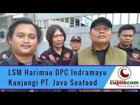 LSM Harimau DPC Indramayu Kunjungi PT. Java Seafood - YouTube