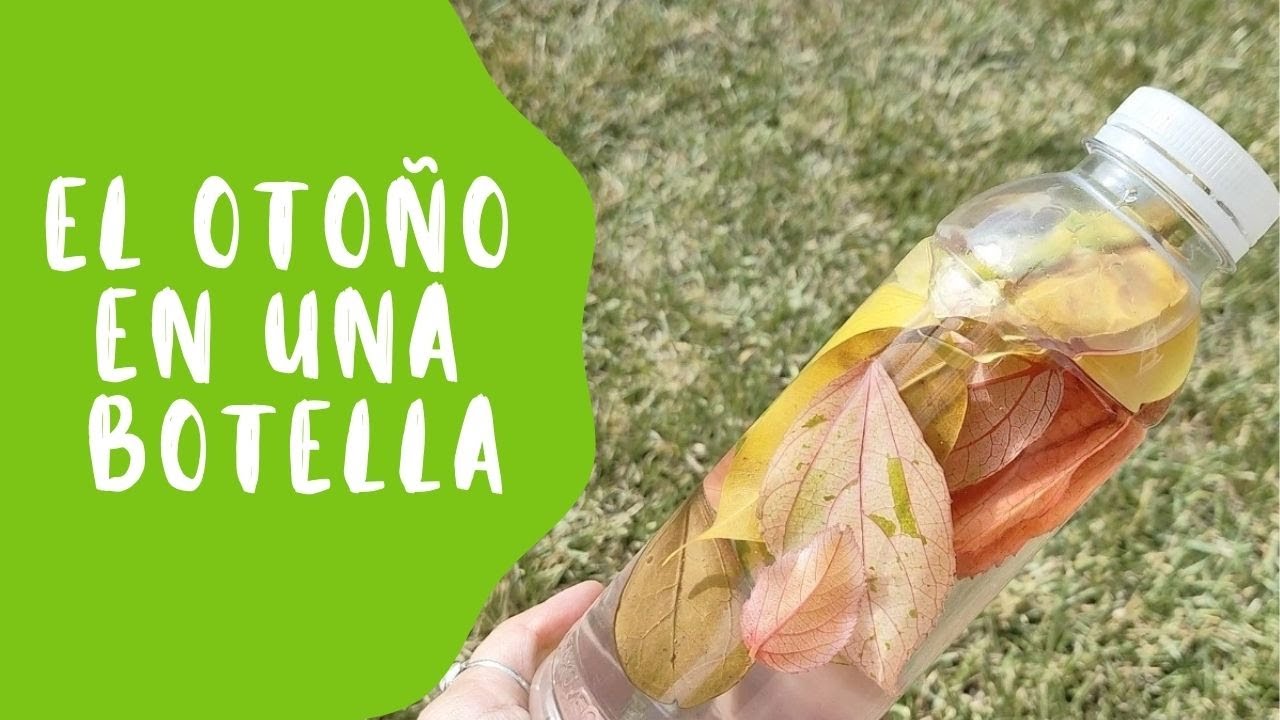 BOTELLA SENSORIAL DEL OTOÑO. BOTE DE LA CALMA. - YouTube