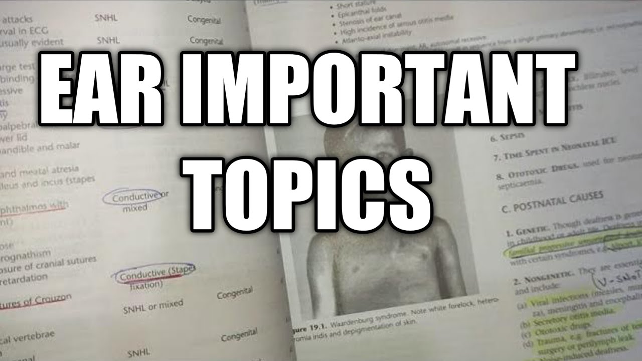 Ear important topics quick review in 1h - YouTube