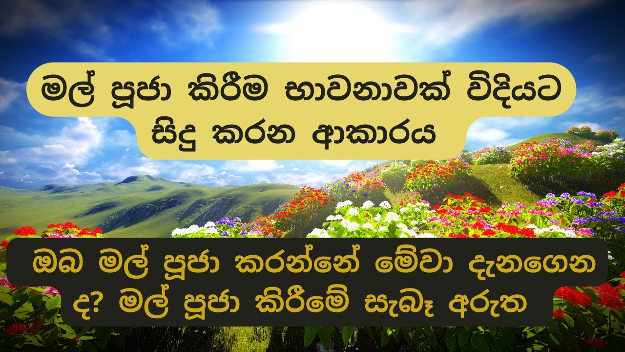 මල් පූජා කිරීම භාවනාවක් විදියට සිදු කරන ආකාරය |Mal Poojawath Bawanawak ...