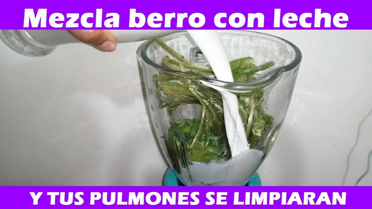 Limpia tus pulmones y aumenta la defensa tomando berro con leche. - YouTube