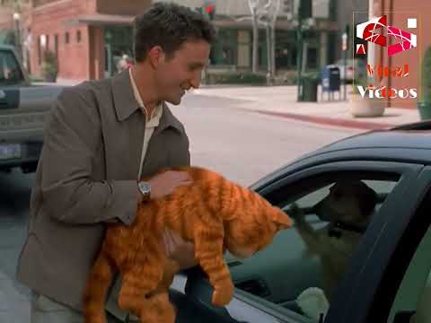 No.1 Best bangla funny video for kids | Garfield (2004) movie funny dubbed | @ViralVideos-uq7hy