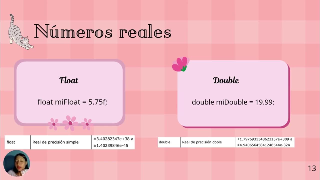Estructura de un programa en Java - YouTube