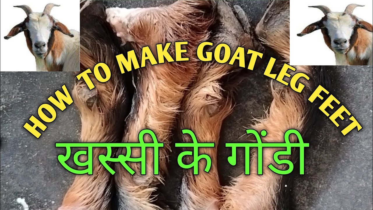 HOW TO MAKE GOAT LEG FEET| HEALTHY GOAT LEG RECIPES | TRADITIONAL LEG ...