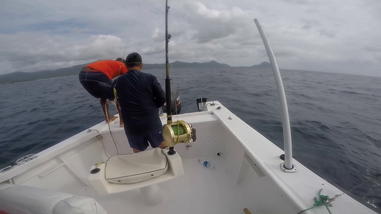 Blue Marlin 502LBS - Mauritius 01/18/2020 - JMP - YouTube