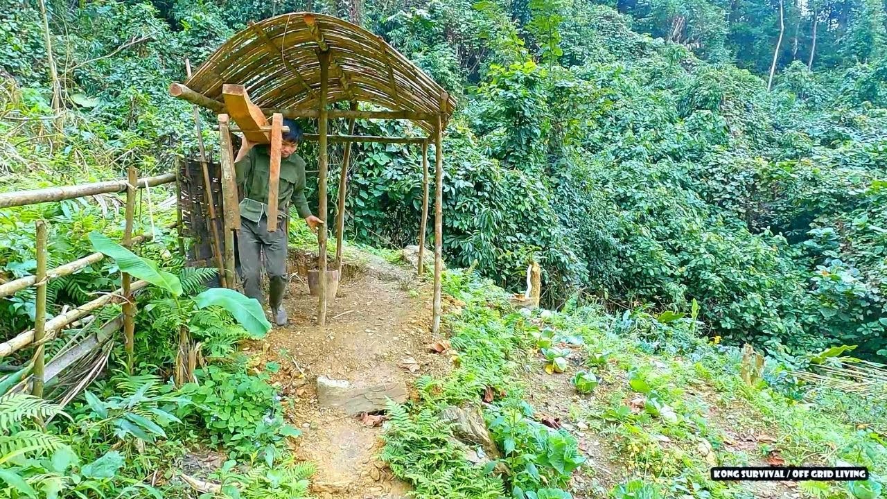 The process of 30 days alone building a small farm in the wilderness ...