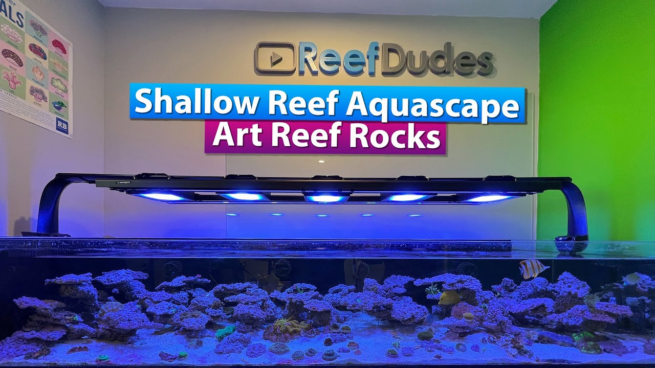 Shallow Reef Tank Aquascape! Custom scape from ArtReefRocks - YouTube