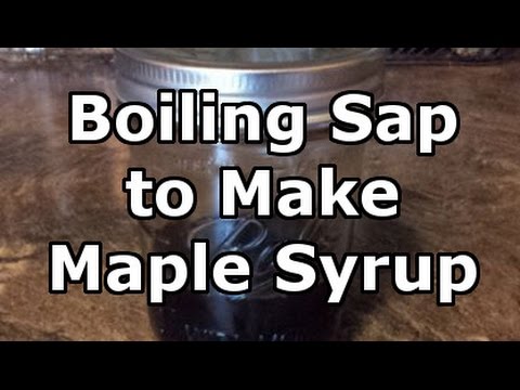 Boiling the Sap to Make Maple Syrup - YouTube