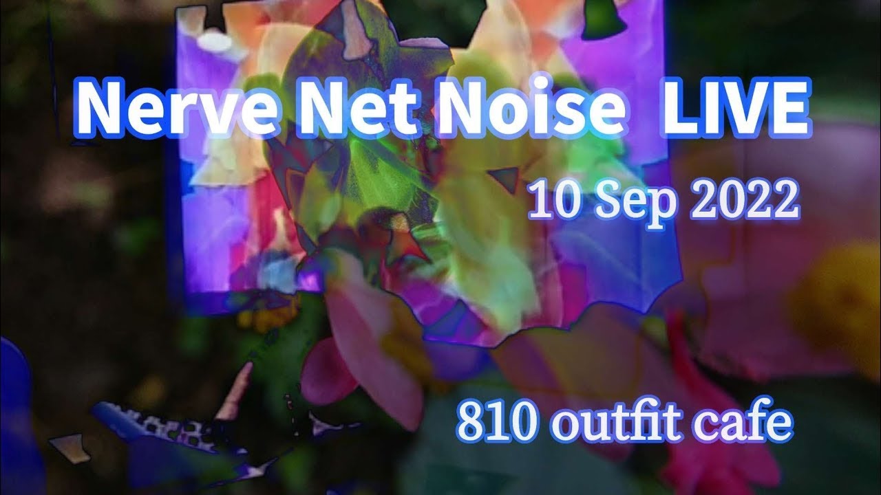 Nerve Net Noise LIVE 20220910 - YouTube
