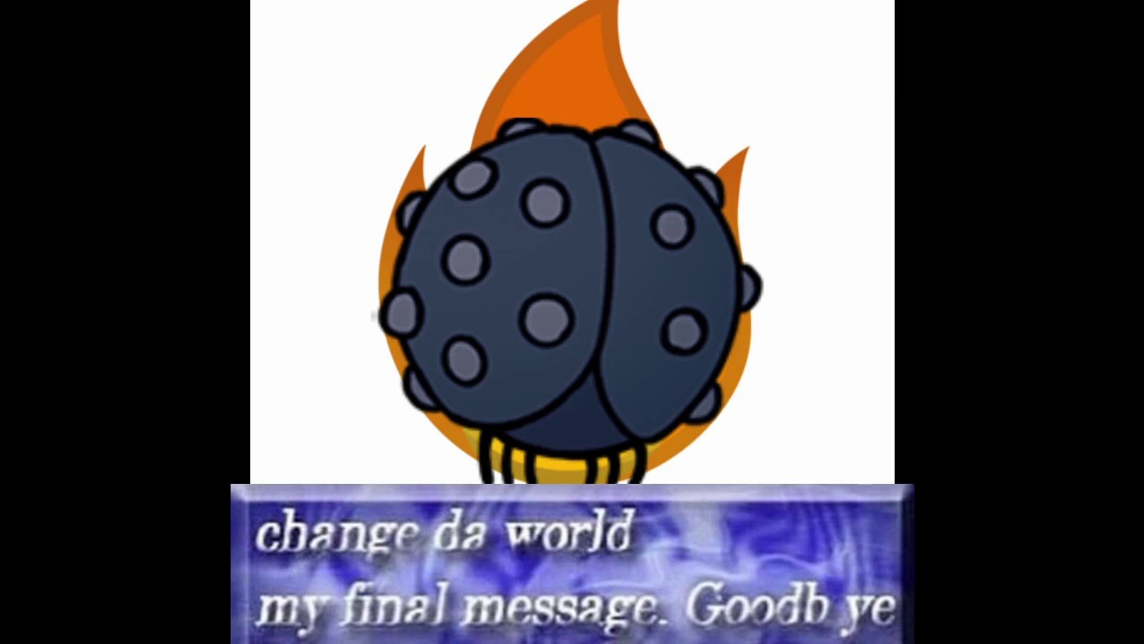 Mace bug (dis)appeard! - YouTube