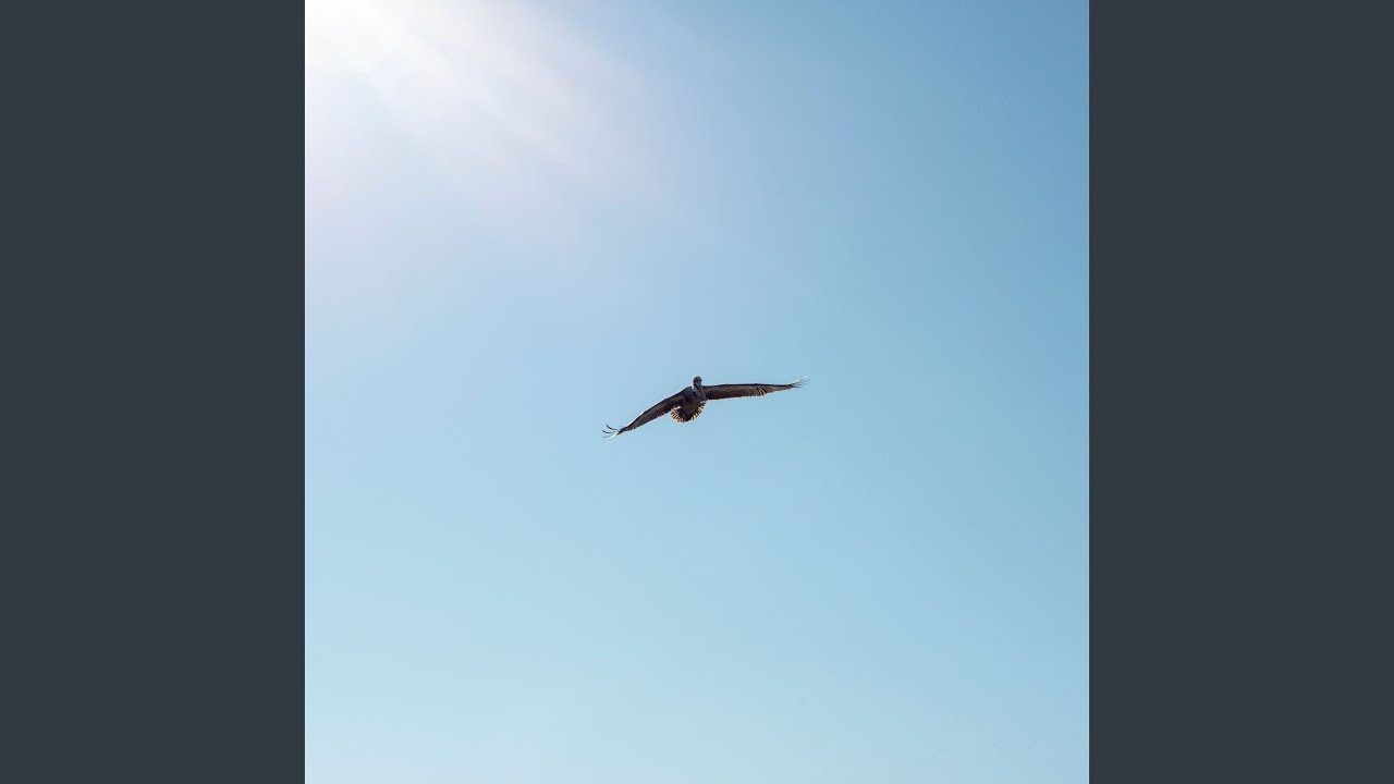 Chain of Despair - YouTube