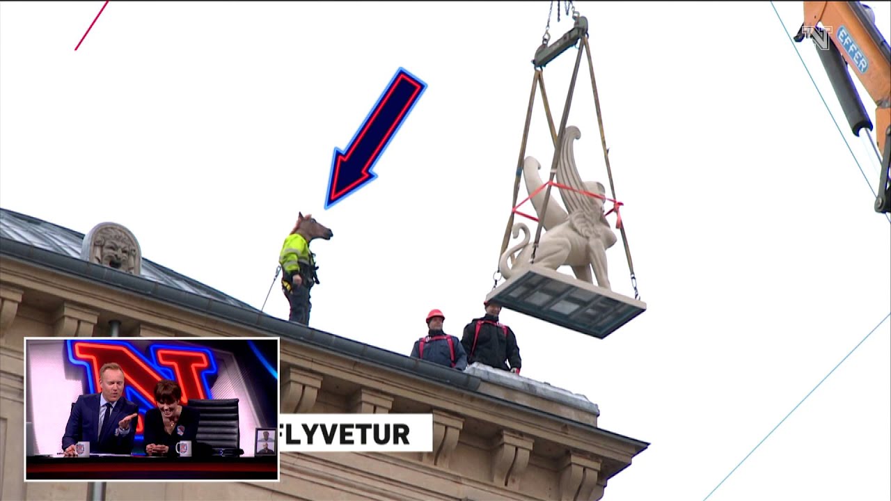 Hest på toppen af Det Kongelige Teater - YouTube