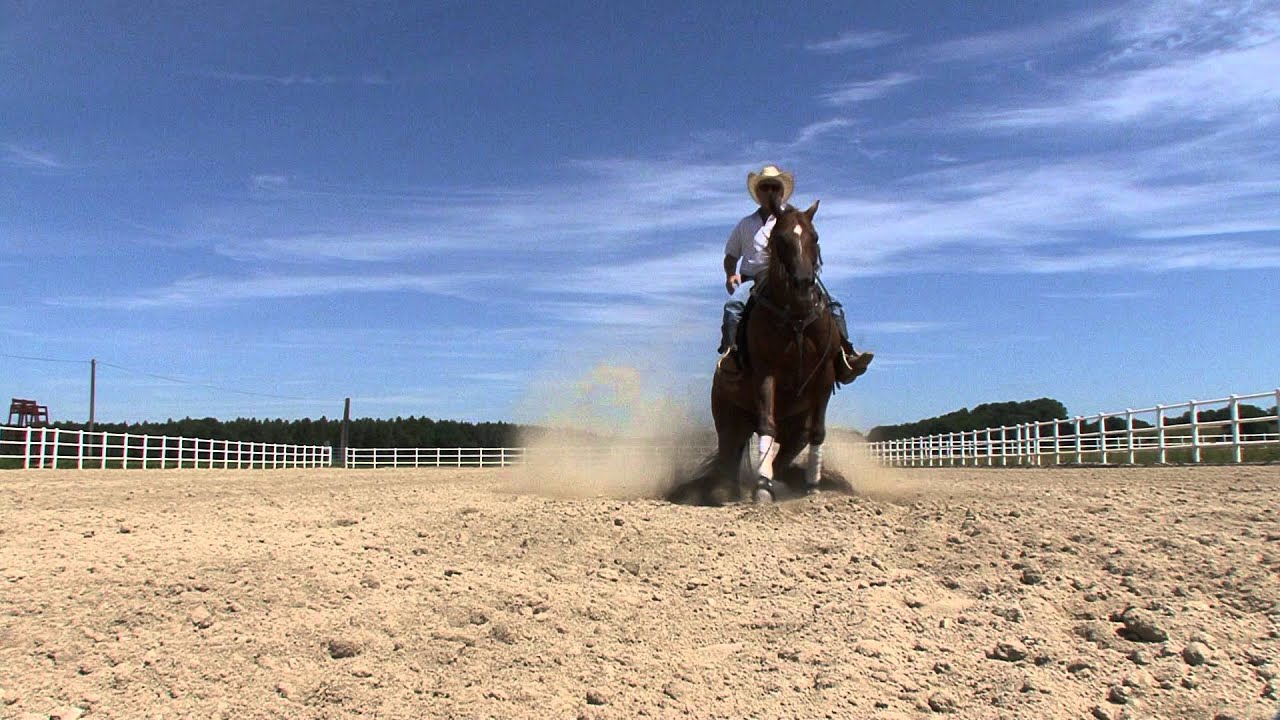 KL PERFORMANCE HORSES --- Imagefilm --- Juli 2015 - YouTube
