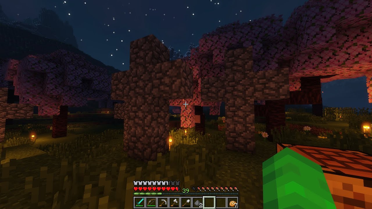 【SMP MINECRAFT】 Back again on my SMP - YouTube