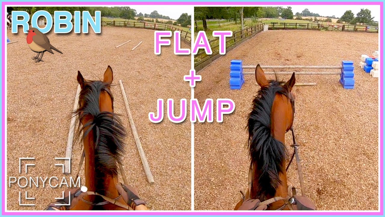 Flatwork & Jumping | ROBIN | GoPro - YouTube