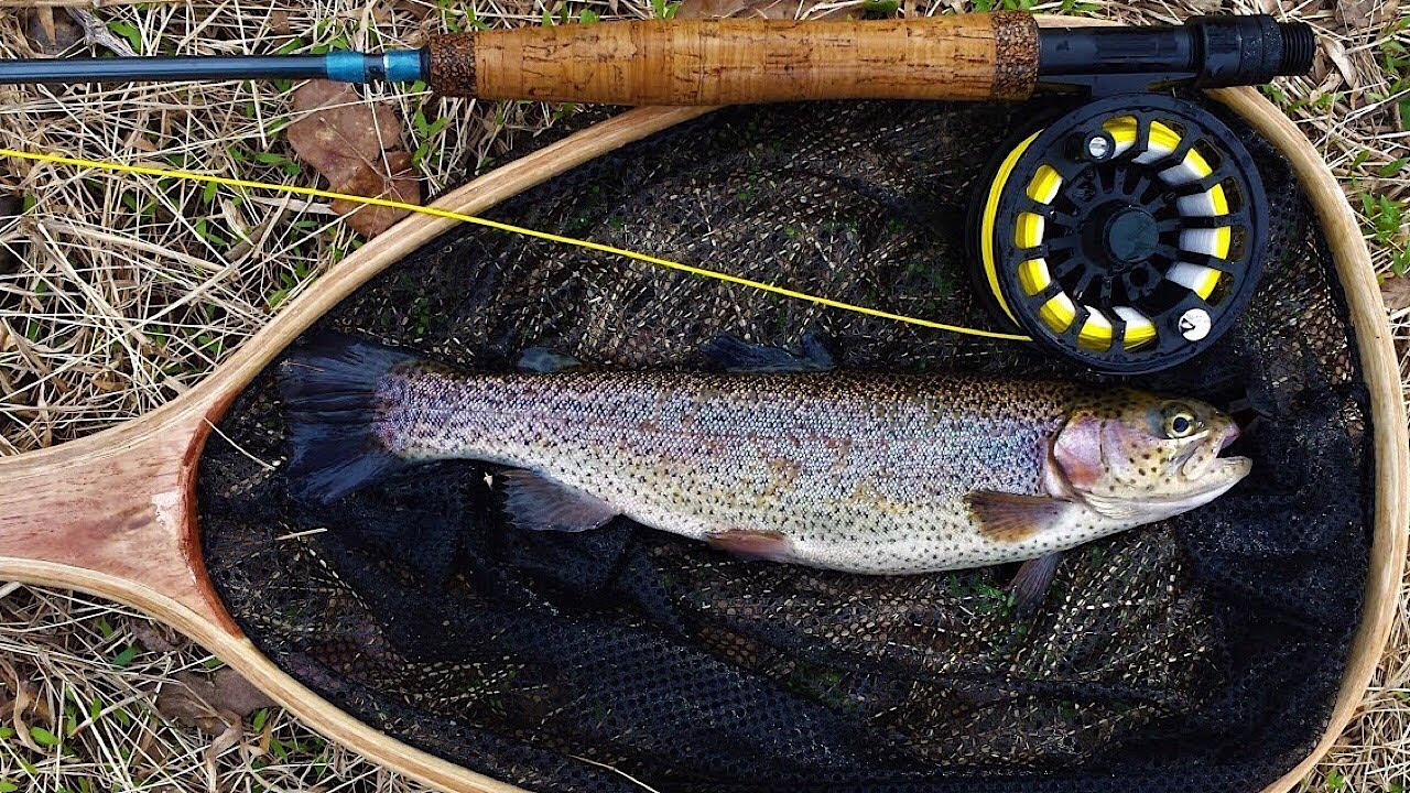 PA Trout Fishing 2018! Small Creek LOADED with Fish! - YouTube