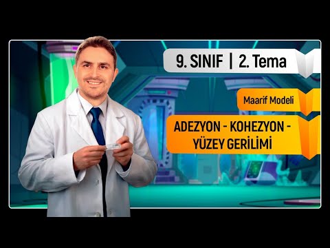 I 9. SINIF KİMYA I ADEZYON - KOHEZYON - YÜZEY GERLİMİ - KILCALLIK  I  2. TEMA : ÇEŞİTLİLİK I