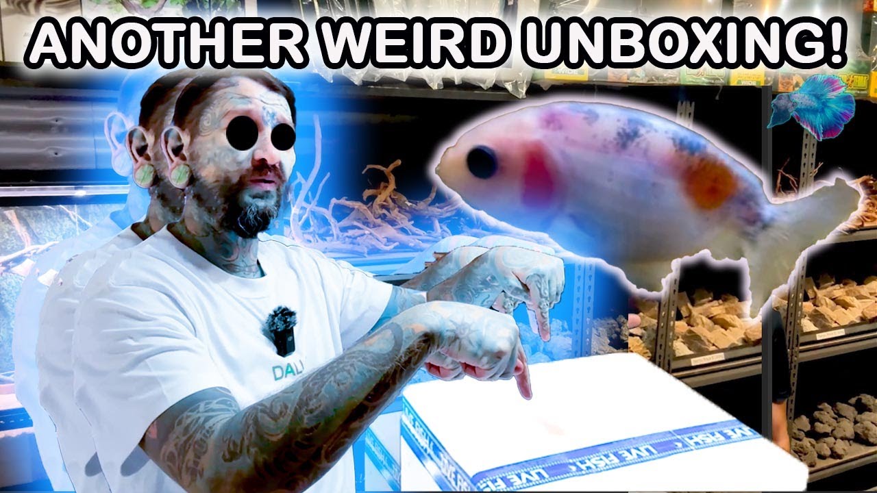 UNBOXING FISH IN BOXES ~ Pauls Aquariums - YouTube
