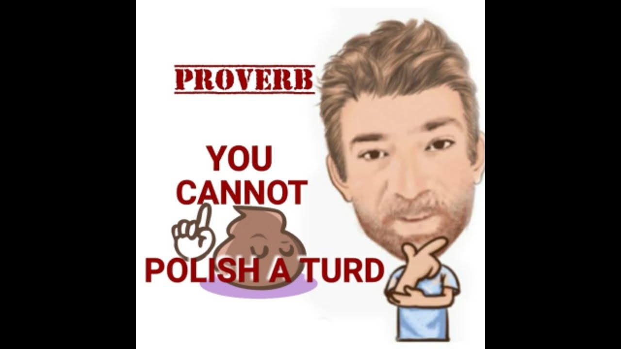 You Can't Polish a Turd - Proverbs (484) Origin - English Tutor Nick P ...