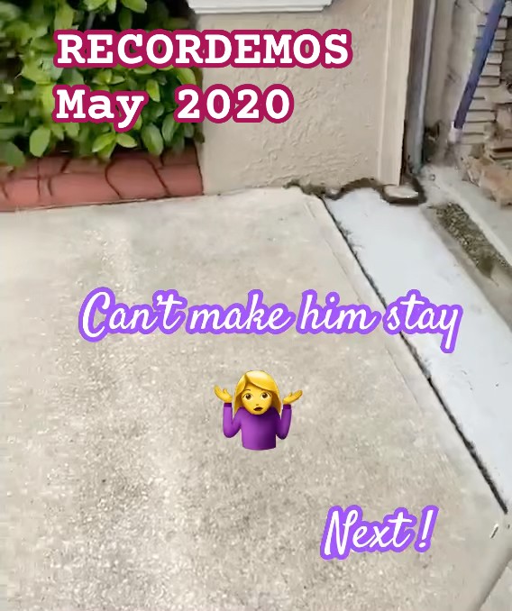 Can we leave heaven USA once in there? explain how if you cannot leave ...