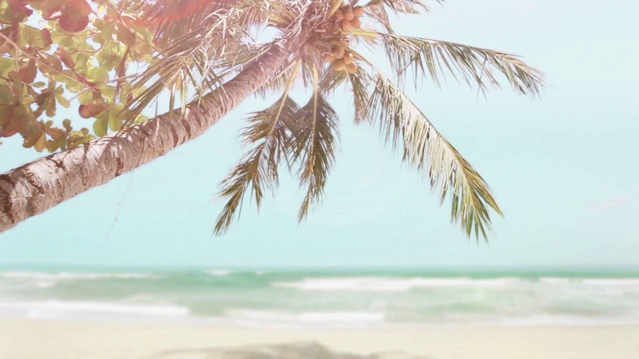 Distracted by Robin Van Auken - YouTube