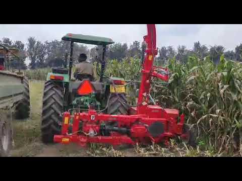 maize corn DMR 1250 Row Independent / maize silage operation